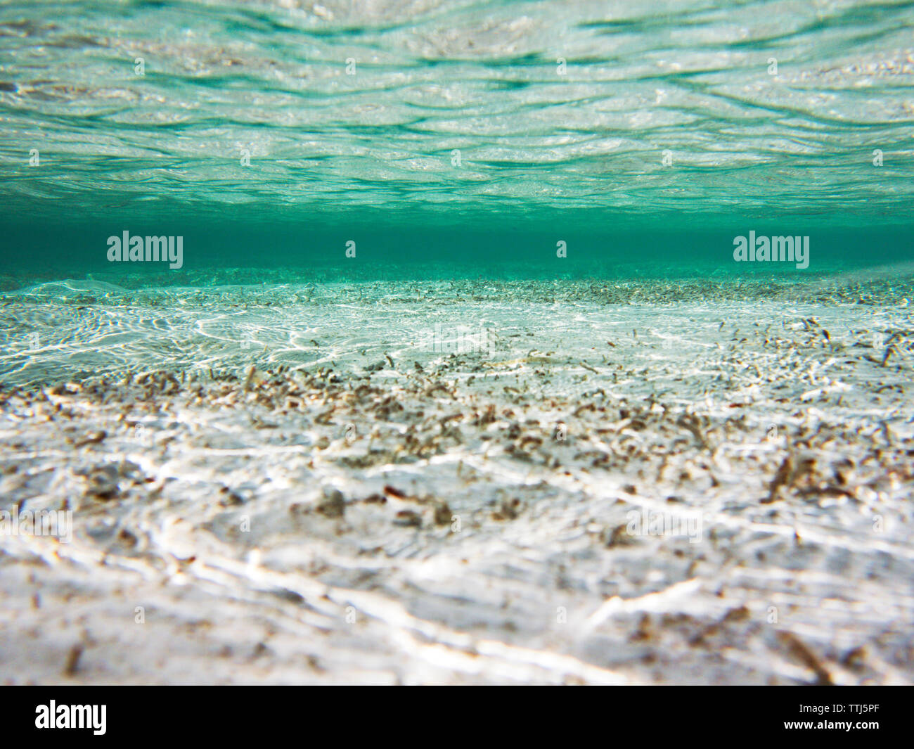 Ocean floor hi-res stock photography and images - Alamy