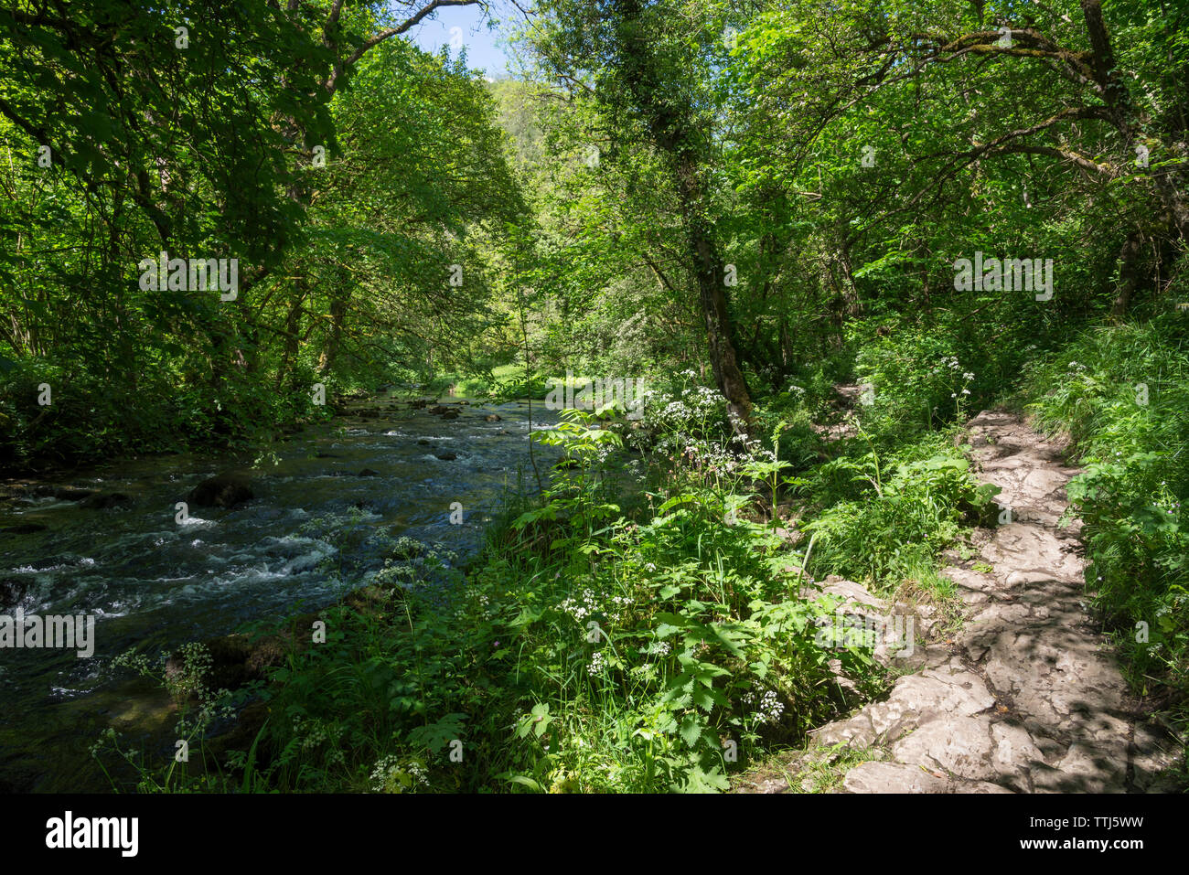 Beautiful summer day in Chee Dale near Buxton in the Peak District ...