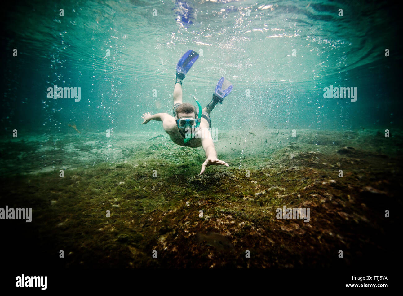 Man snorkeling underwater sea vacation hi-res stock photography and ...