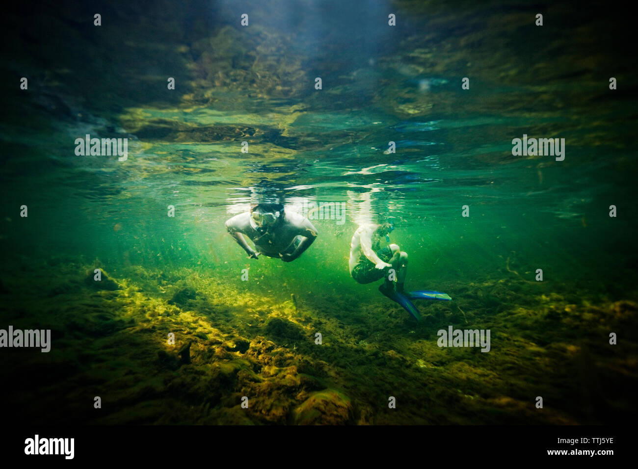 Friends swimming underwater together hi-res stock photography and ...