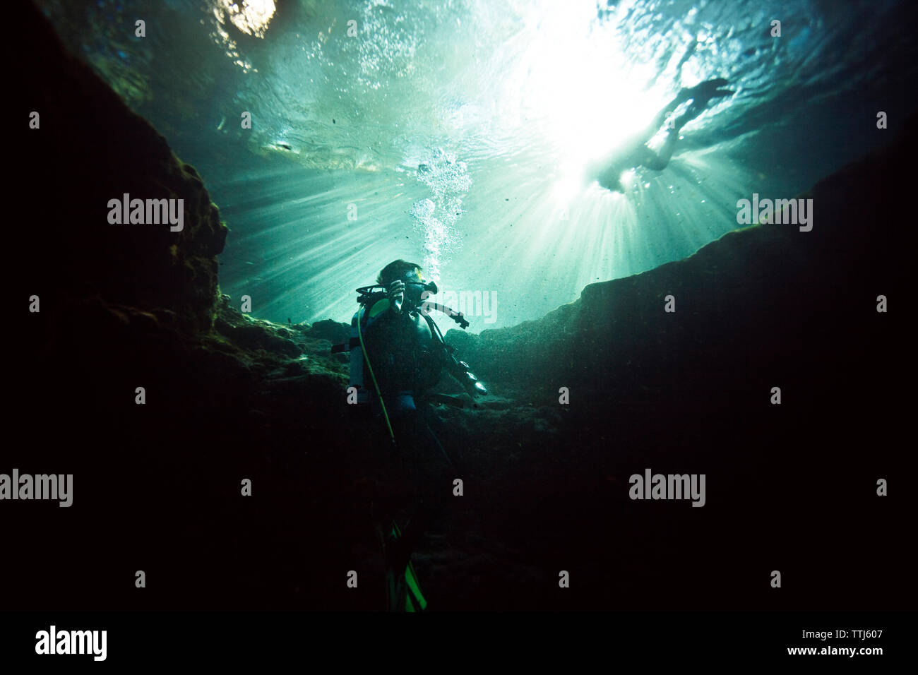 Low angle view of divers in sea Stock Photo - Alamy