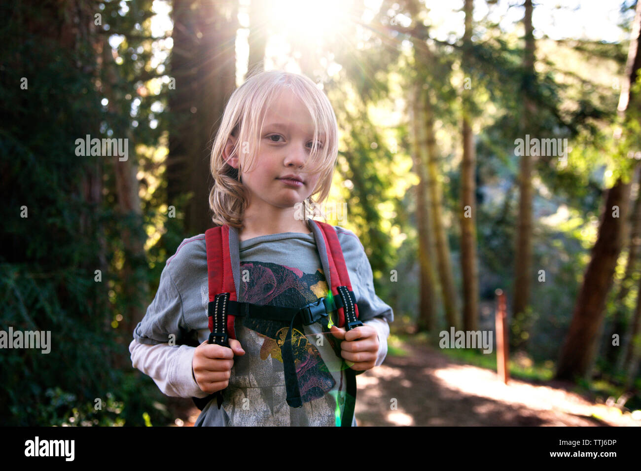 Boy is standing in the forest hi-res stock photography and images - Alamy