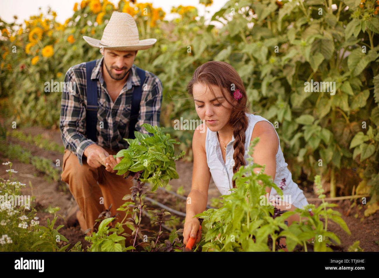 Couple planting in farm Stock Photo - Alamy