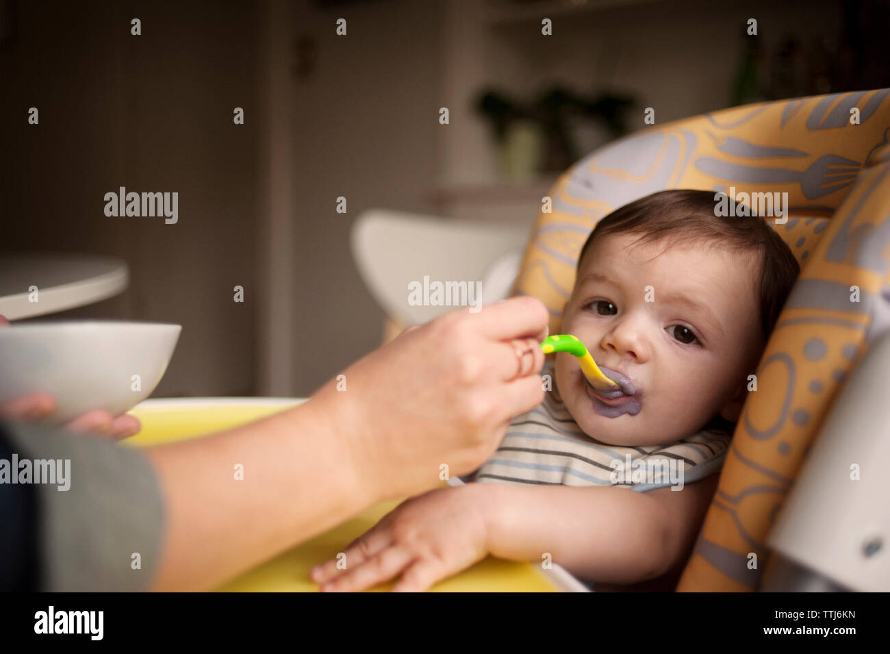 Hand feeding hi-res stock photography and images - Alamy
