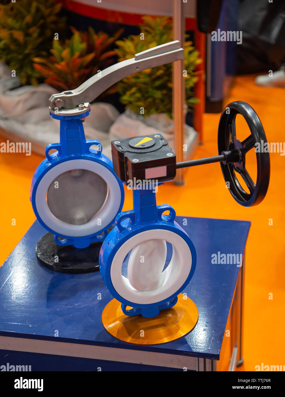 Wafwe hi-res stock photography and images - Alamy