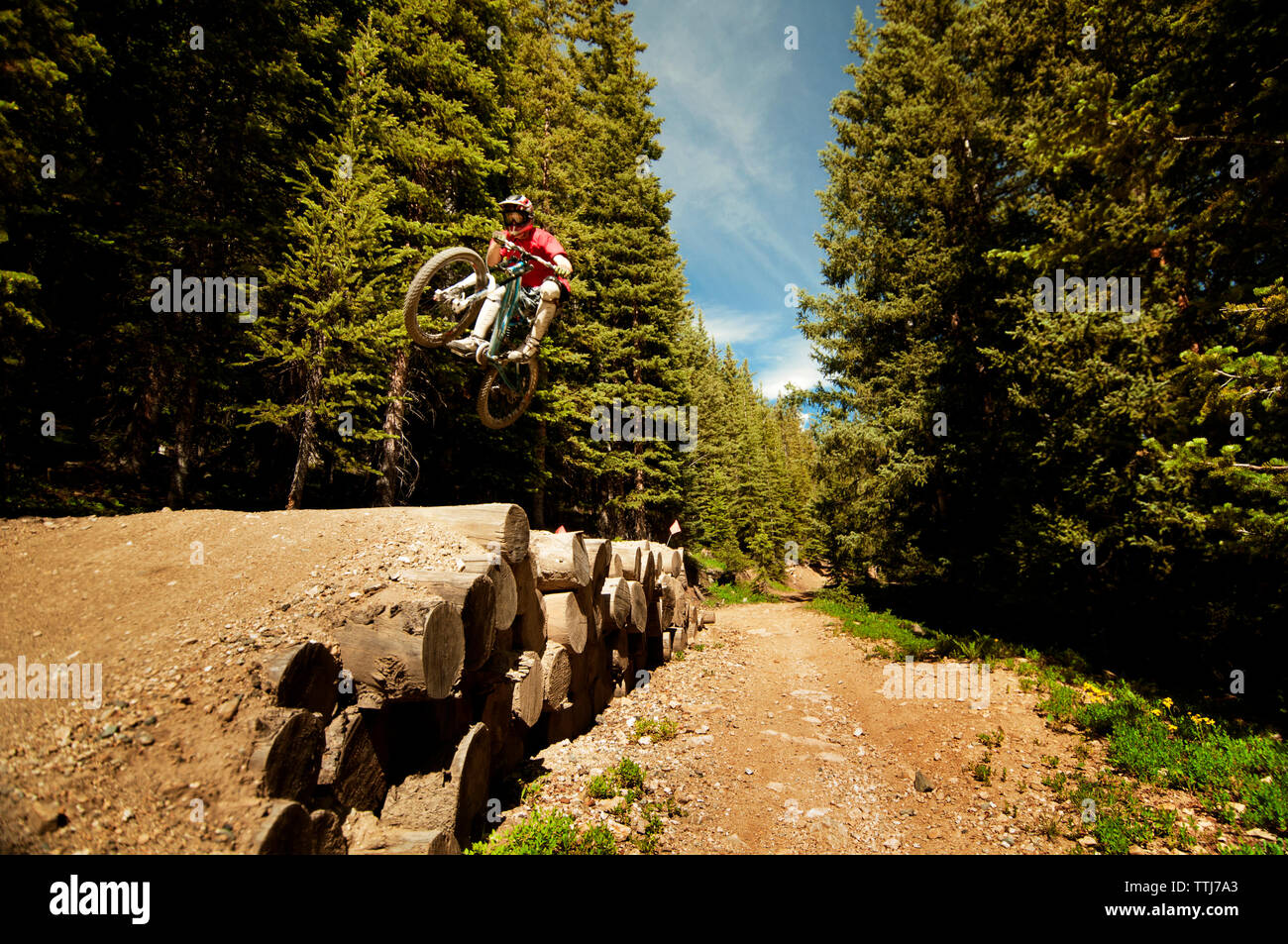 Cyclist performing stunt on logs in forest Stock Photo - Alamy