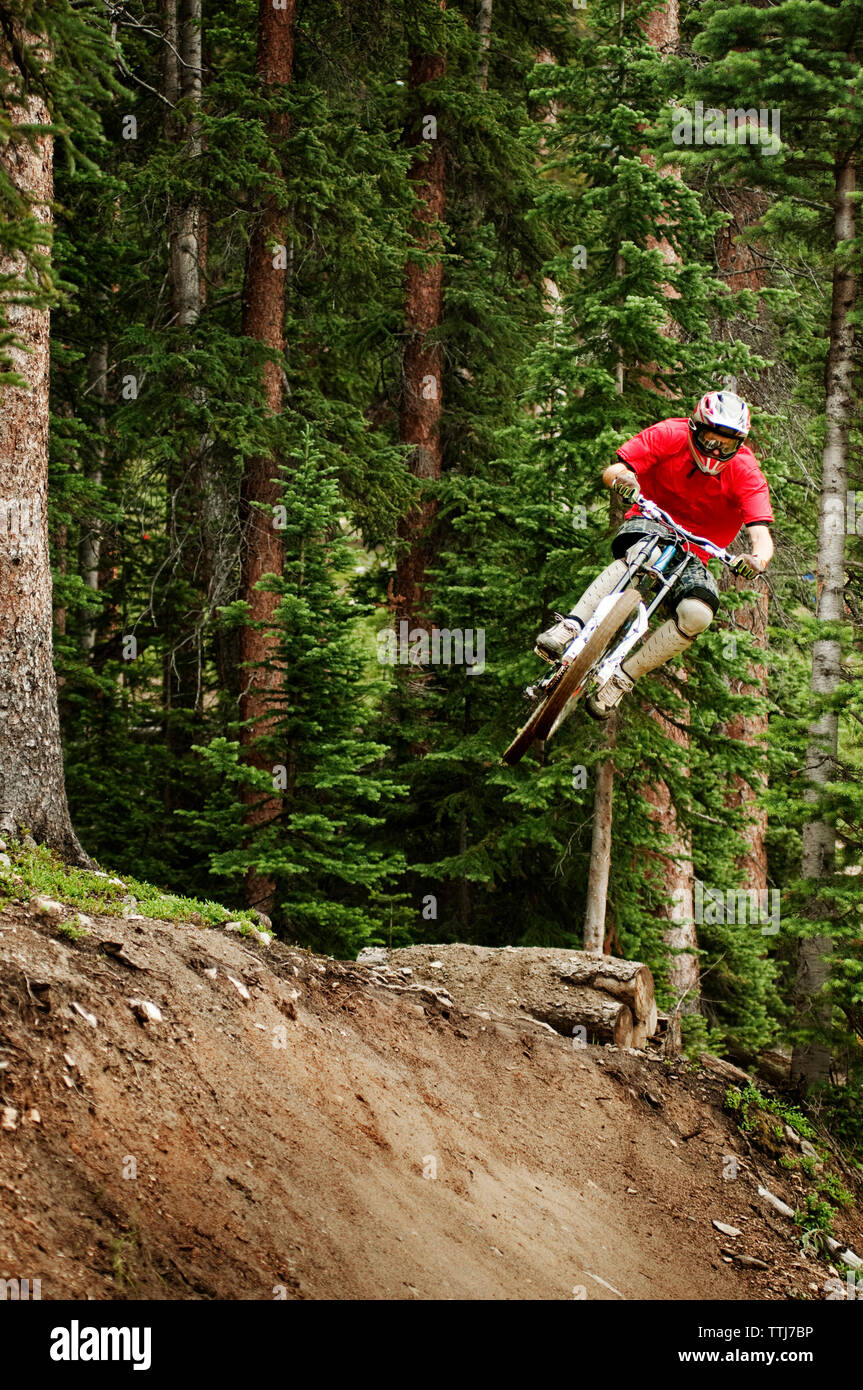 Mountain biker performing stunt in forest Stock Photo - Alamy