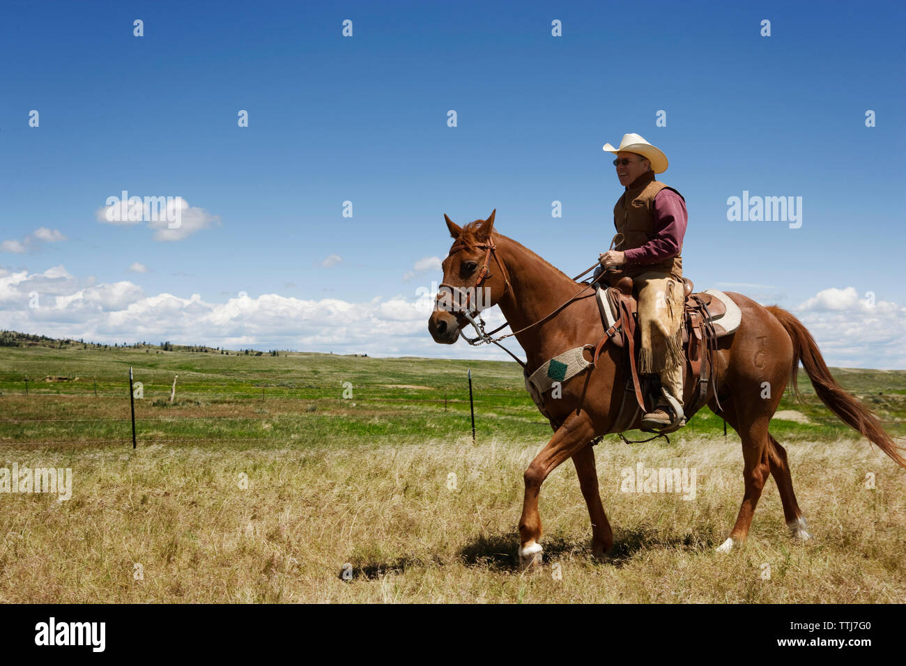 Man riding on horse holding hi-res stock photography and images - Alamy