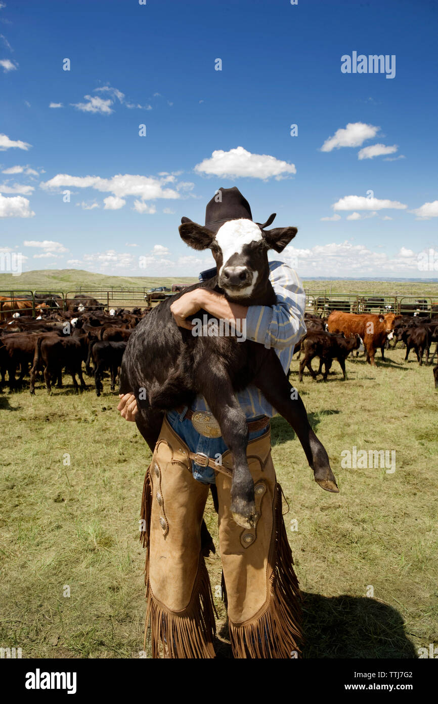 Millennial Cowboy High Resolution Stock Photography and Images - Alamy