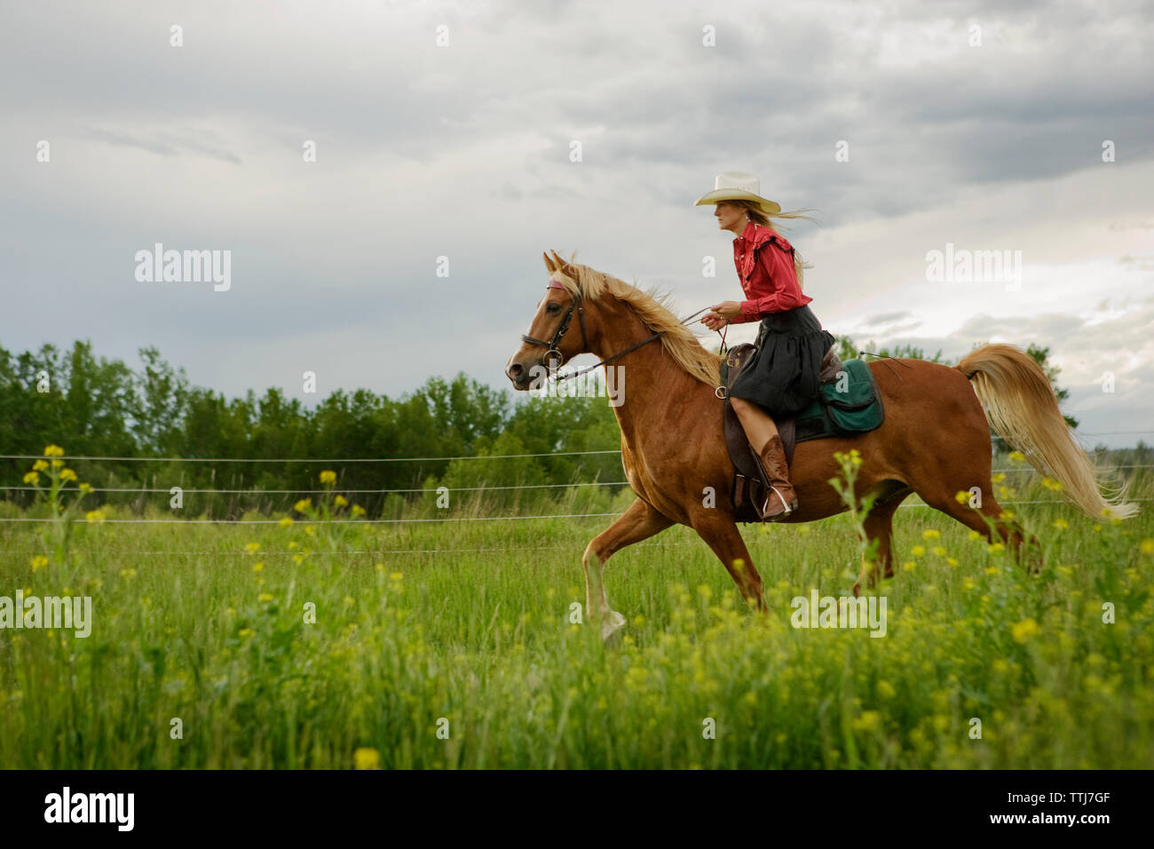 Side view of woman riding on horse against clouds sky Stock Photo - Alamy