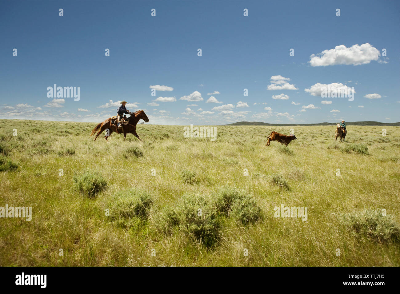 Two riding cowboys hi-res stock photography and images - Alamy