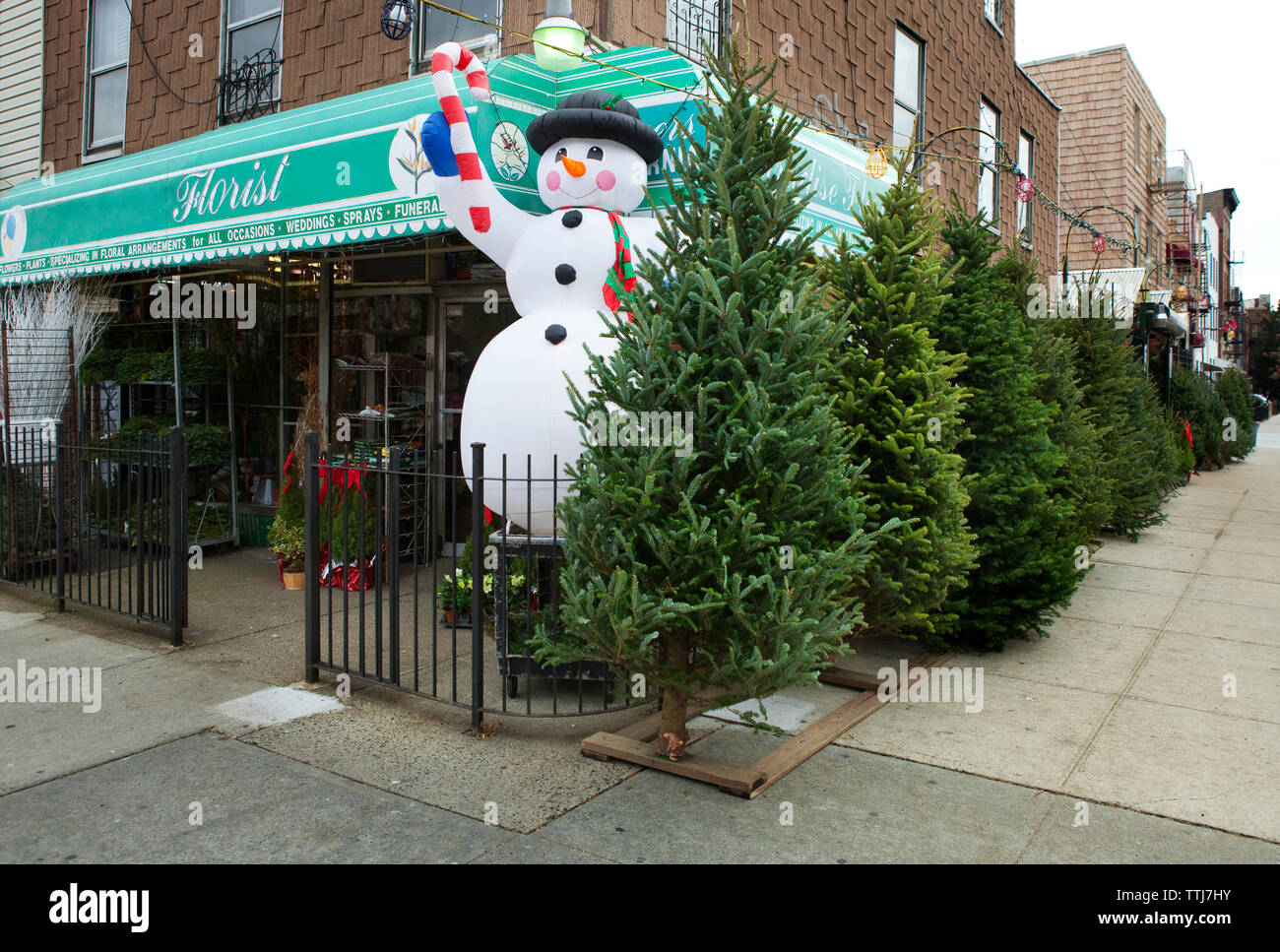 Snowman christmas display hi-res stock photography and images - Alamy