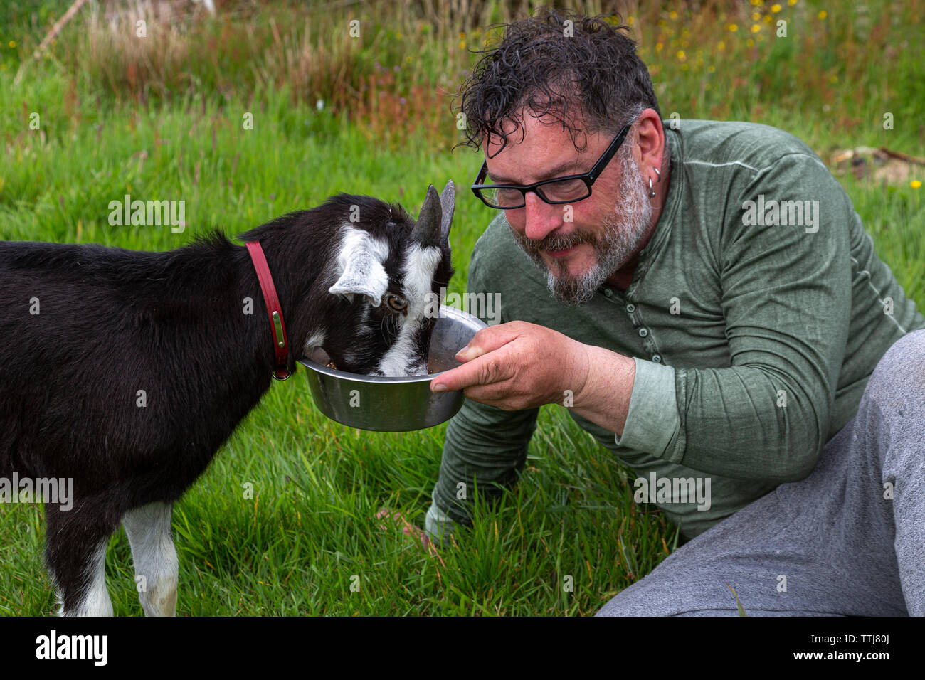 Man feeding goats hi-res stock photography and images - Alamy