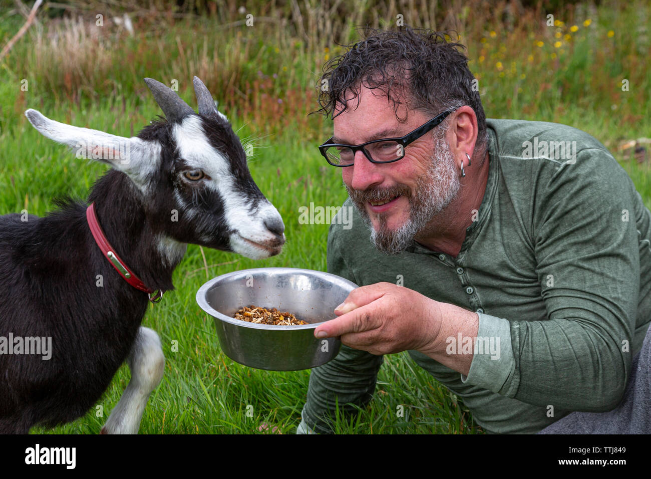 Man feeding goats hi-res stock photography and images - Alamy
