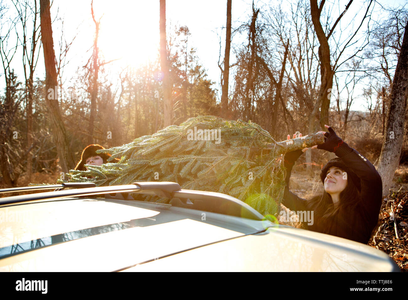 Car in front of tree hi-res stock photography and images - Alamy