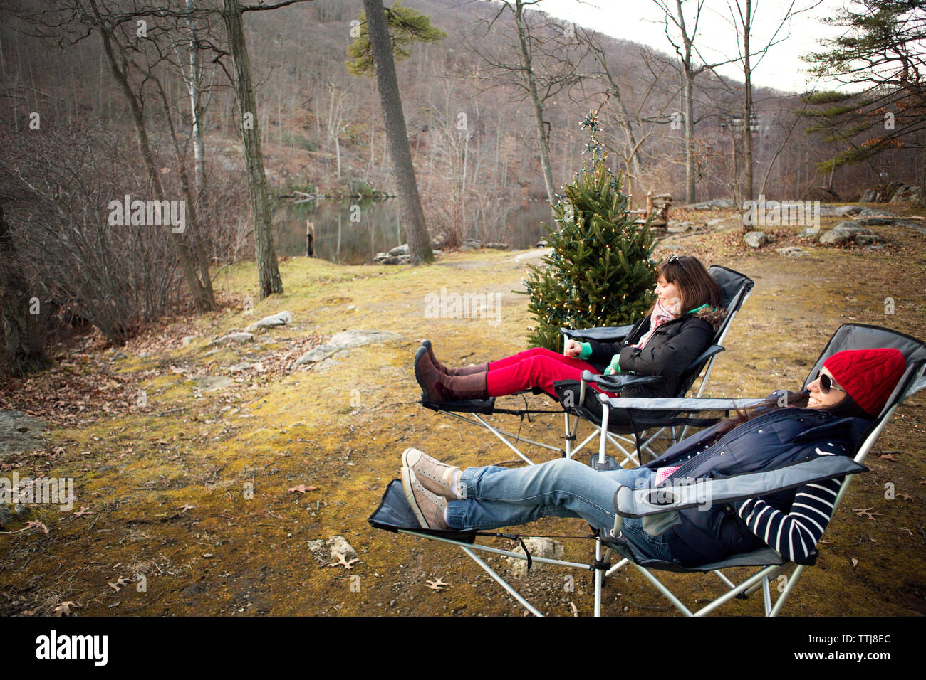 Chair with christmas trees hi-res stock photography and images - Alamy
