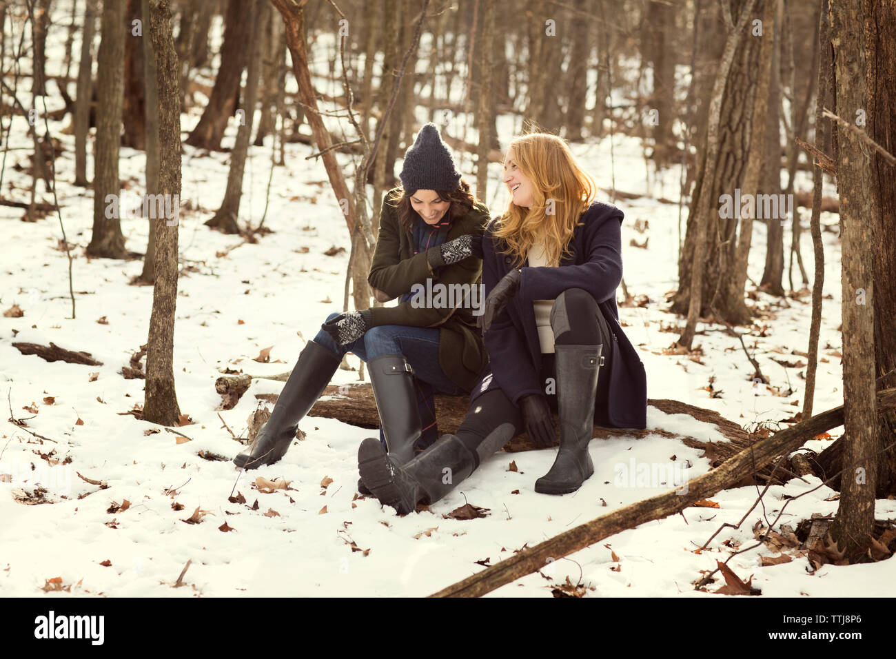 Talking tree hi-res stock photography and images - Alamy