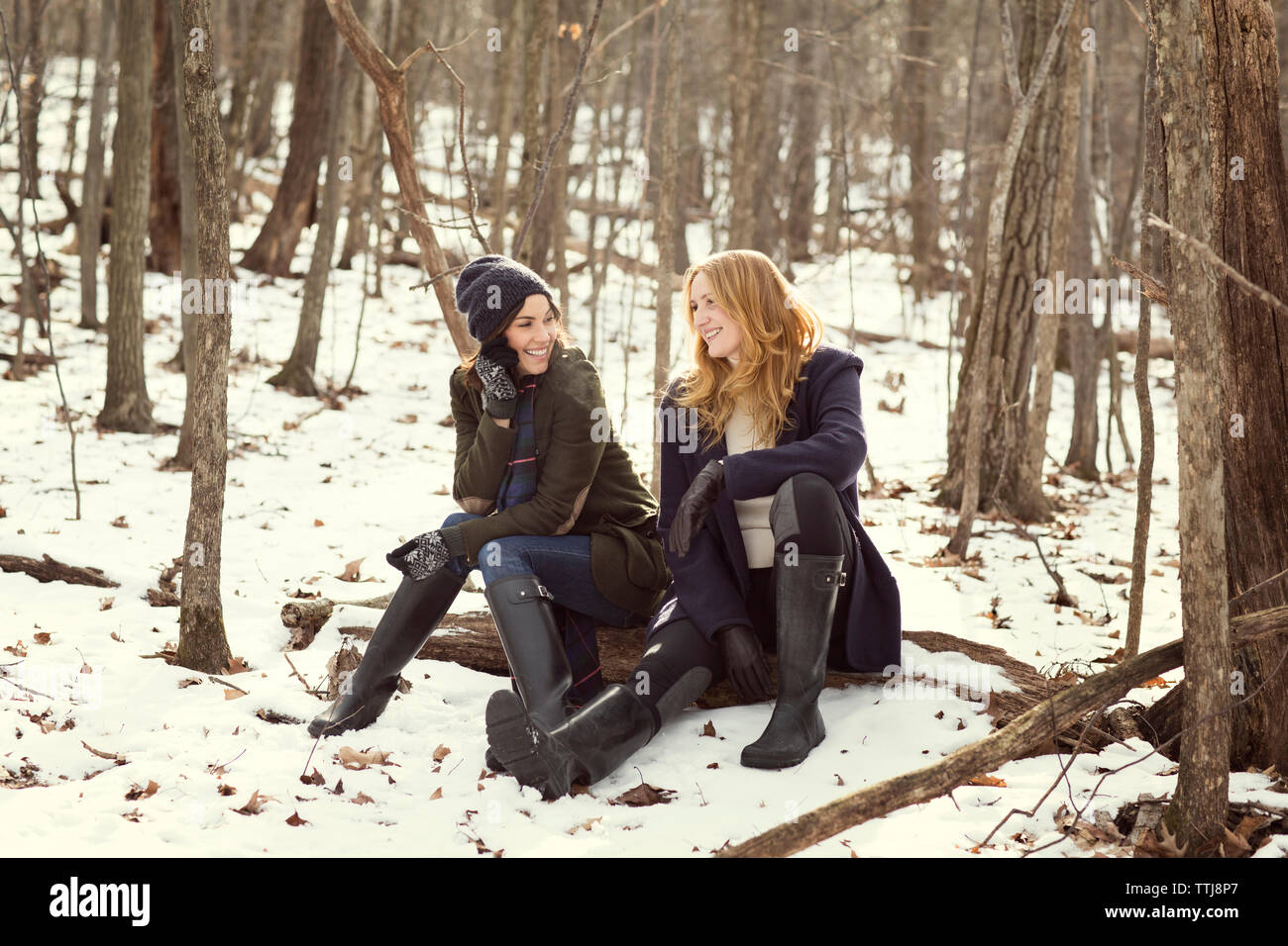 Talking tree hi-res stock photography and images - Alamy