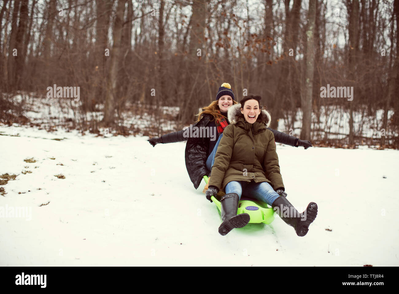 Friends enjoying sled ride in forest Stock Photo - Alamy