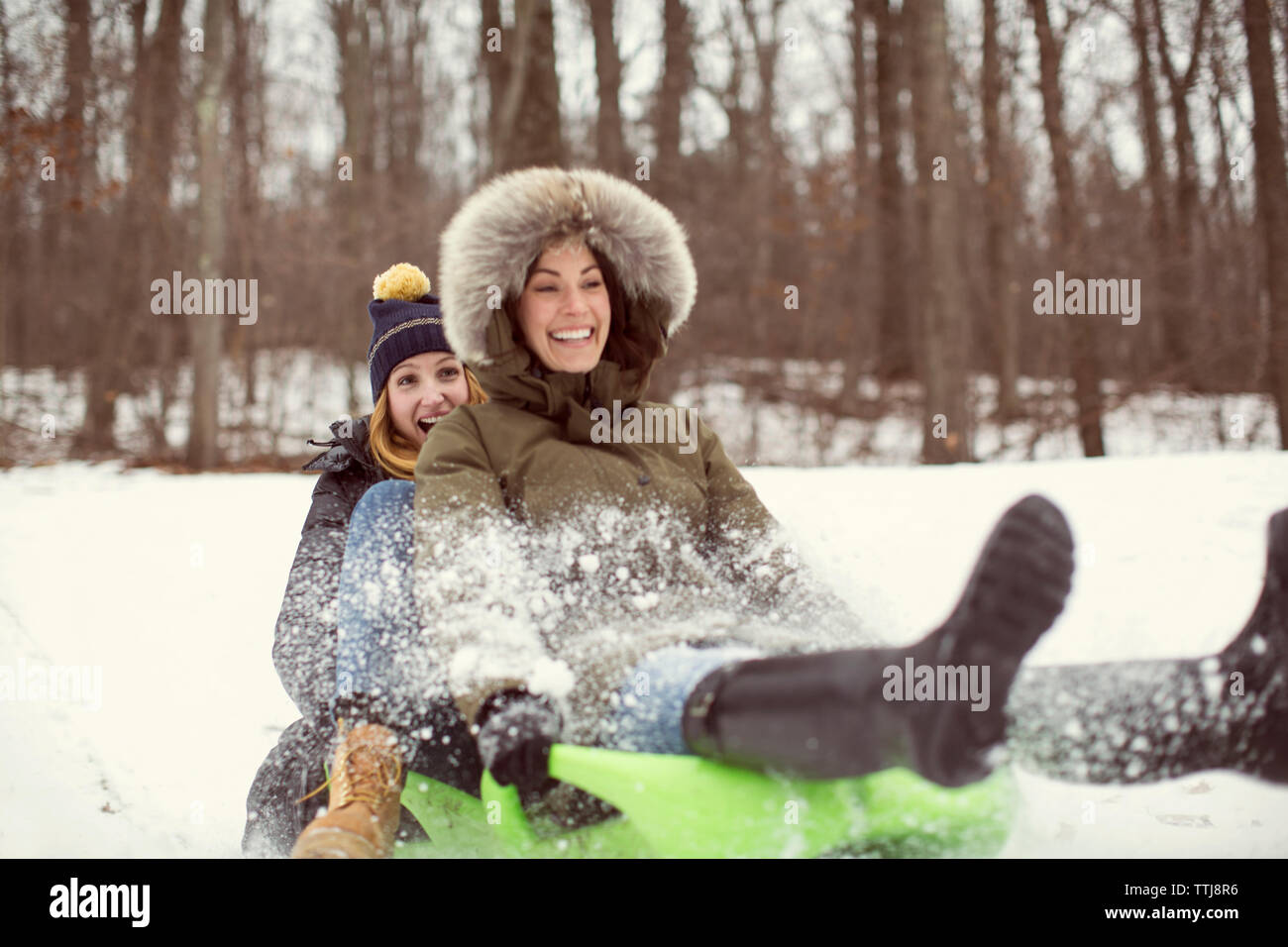 Cheerful friends riding sled in forest during winter Stock Photo - Alamy