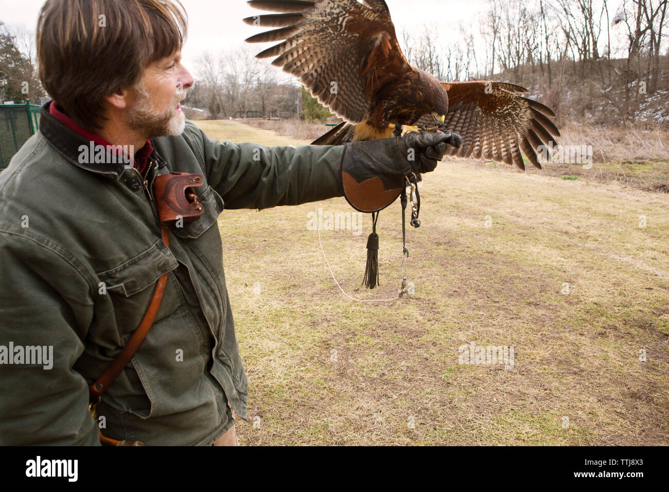 Man feeding bird while standing on field Stock Photo - Alamy