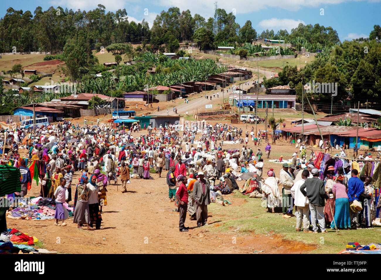 Shopping in nature hi-res stock photography and images - Alamy