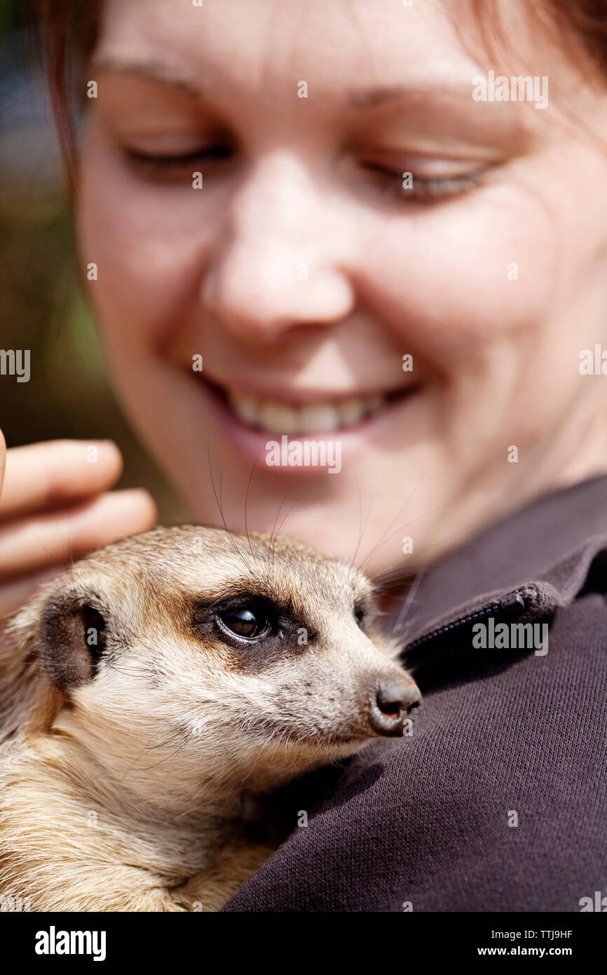 Smiling meerkat hi-res stock photography and images - Alamy