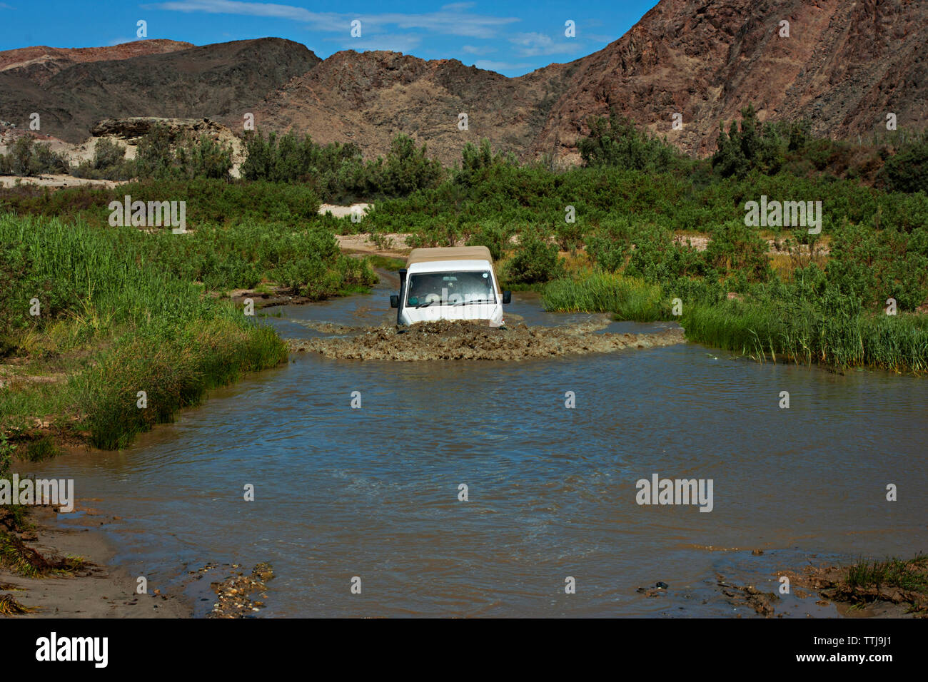 Vehicle trees hi-res stock photography and images - Alamy