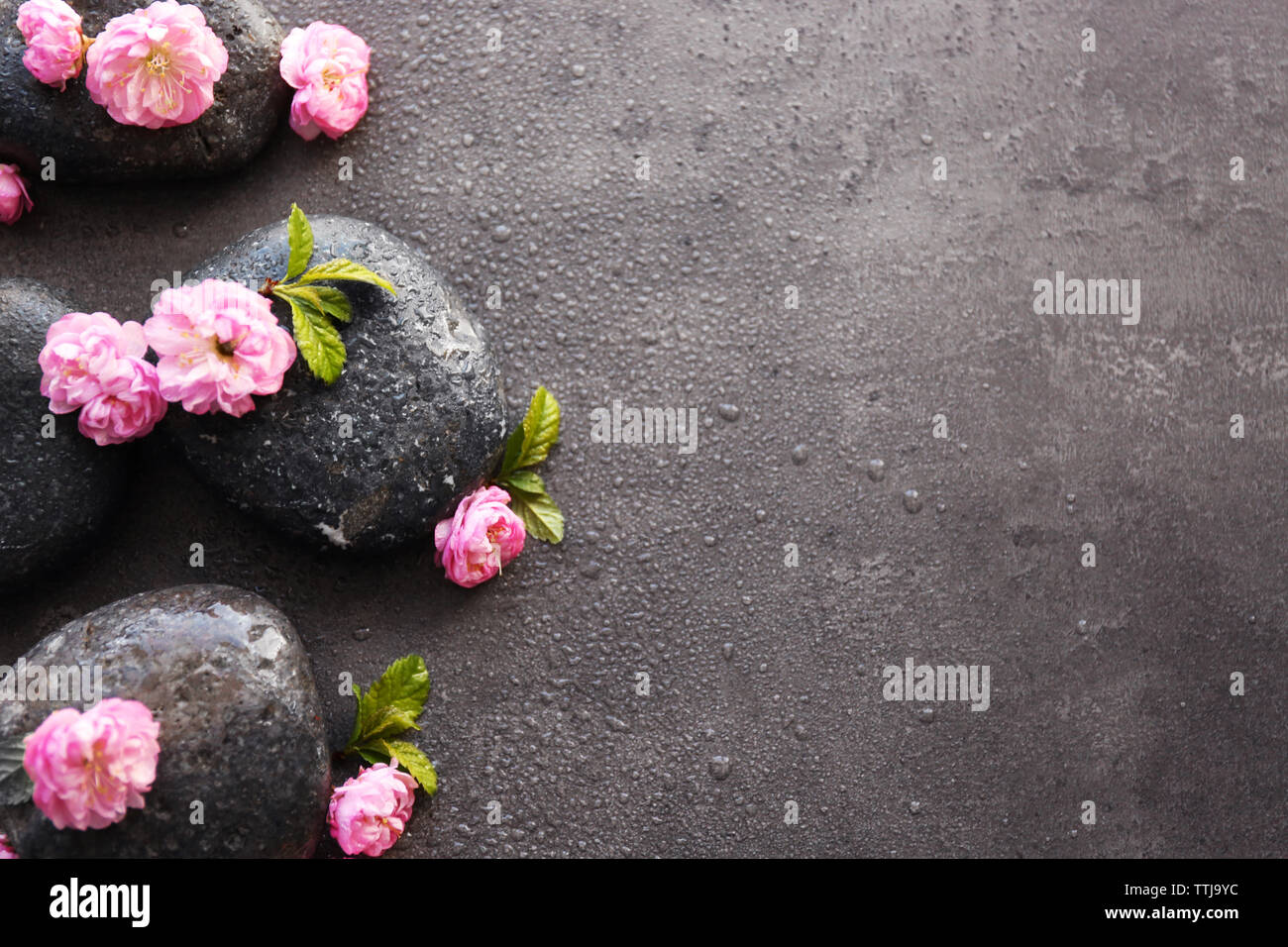 Spa stones and pink flowers on grey background Stock Photo - Alamy
