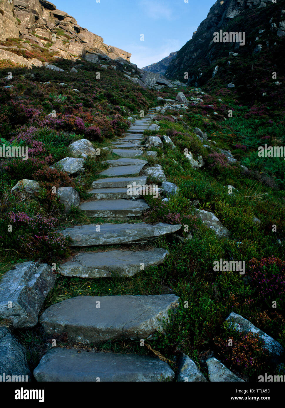 Roman trade hi-res stock photography and images - Alamy