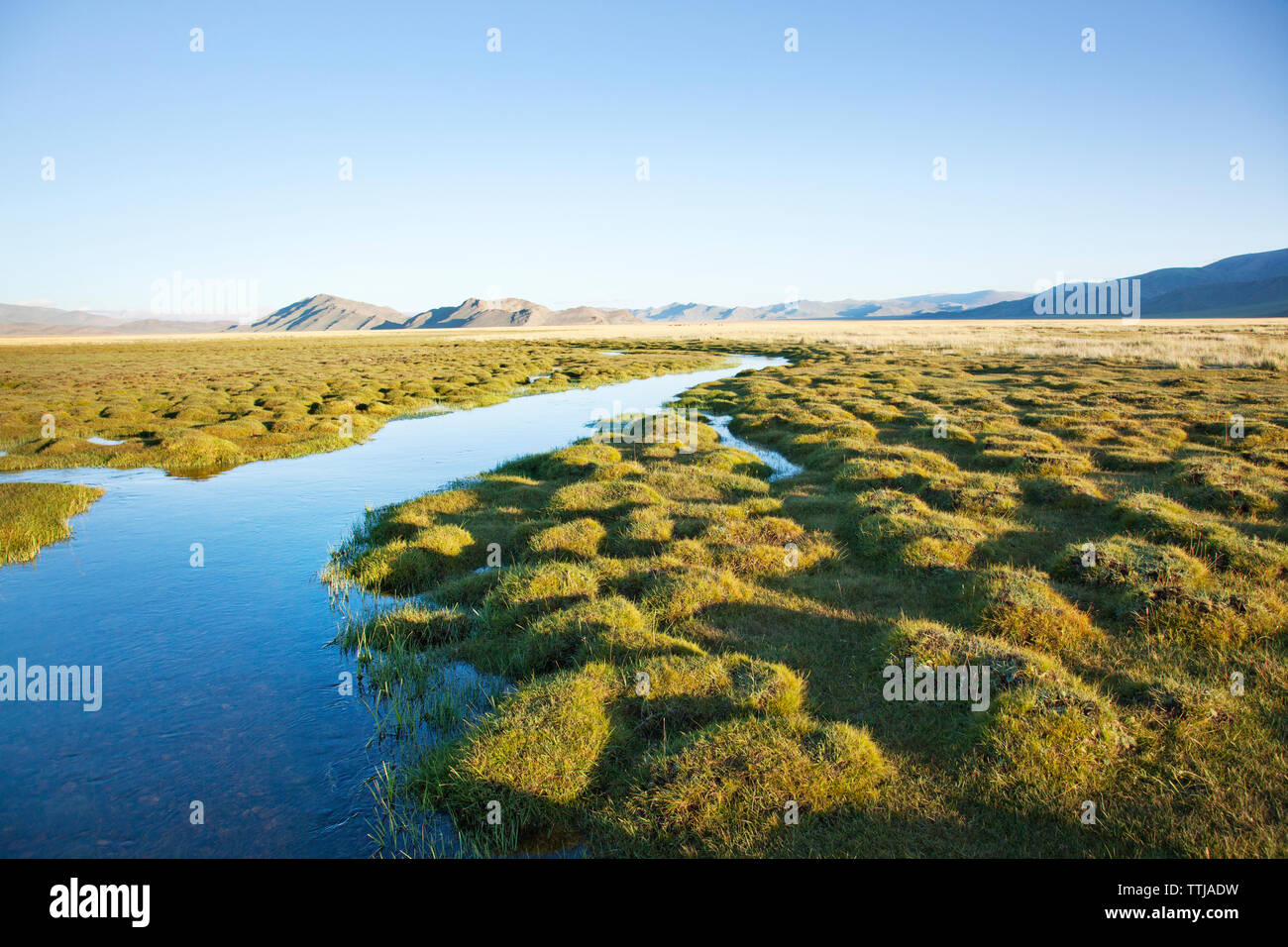 River field hi-res stock photography and images - Alamy