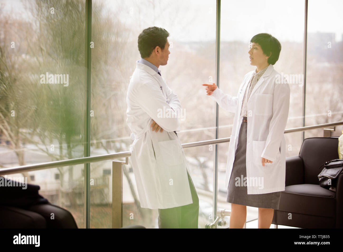 doctors discussing while standing by window in hospital Stock Photo - Alamy