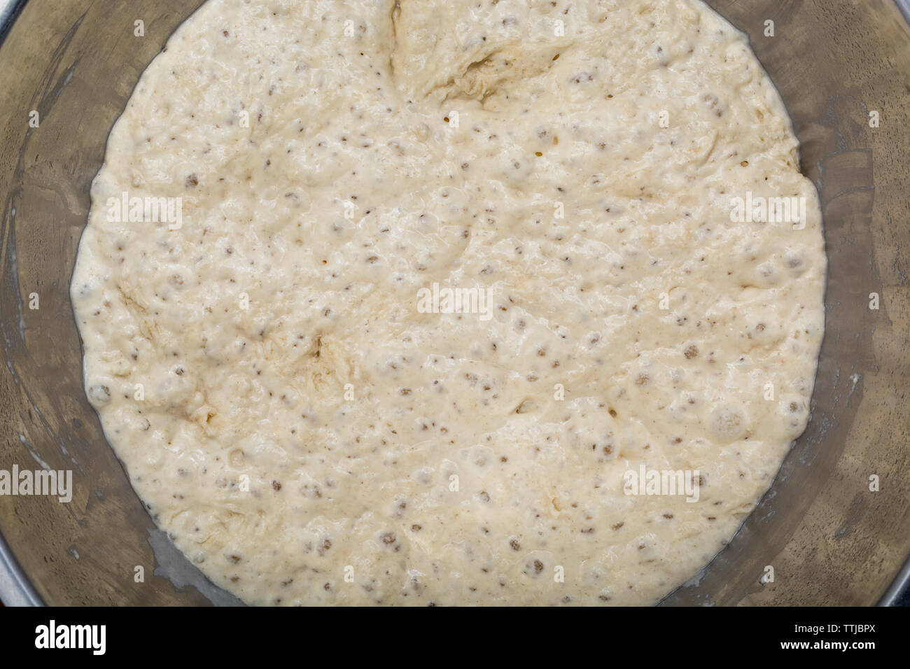Bubbly mass of yeast raised no-knead bread dough after 12 hours ...