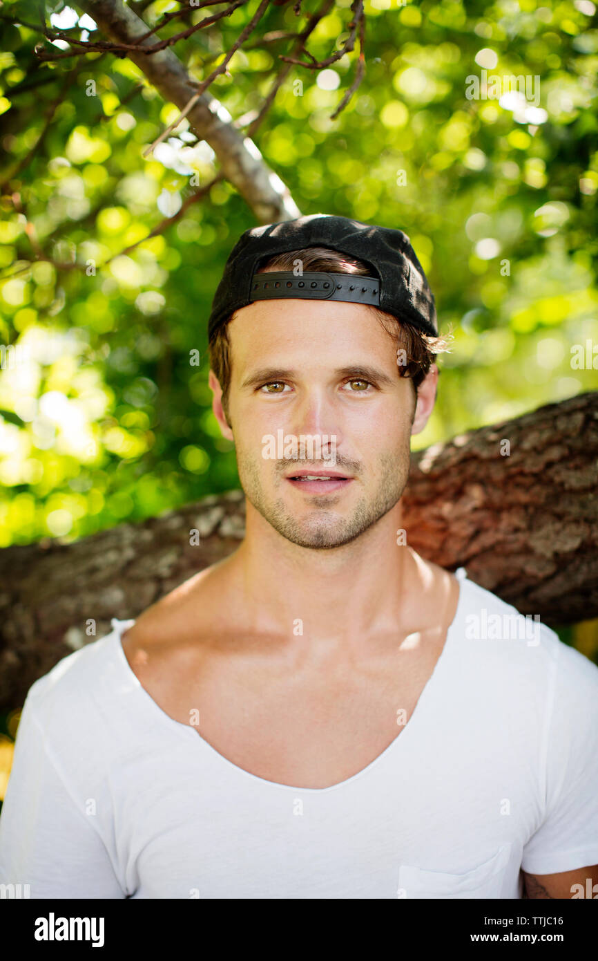 Stubble tree hi-res stock photography and images - Alamy