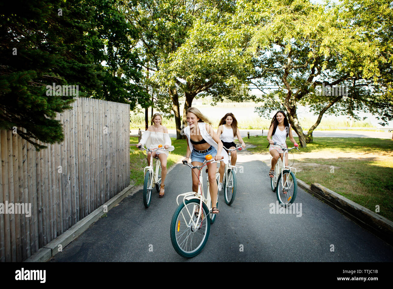 Playful friends cycling on road Stock Photo - Alamy