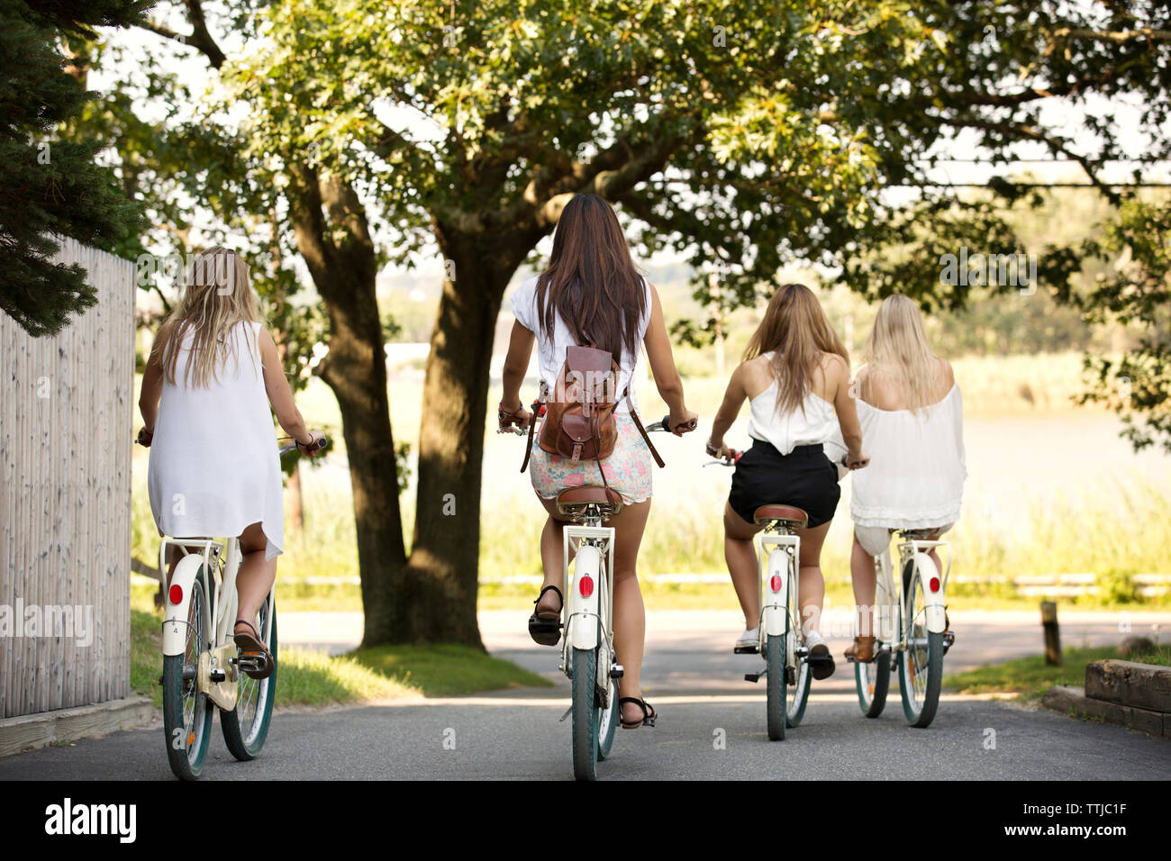 Rear view of women cycling on road Stock Photo - Alamy
