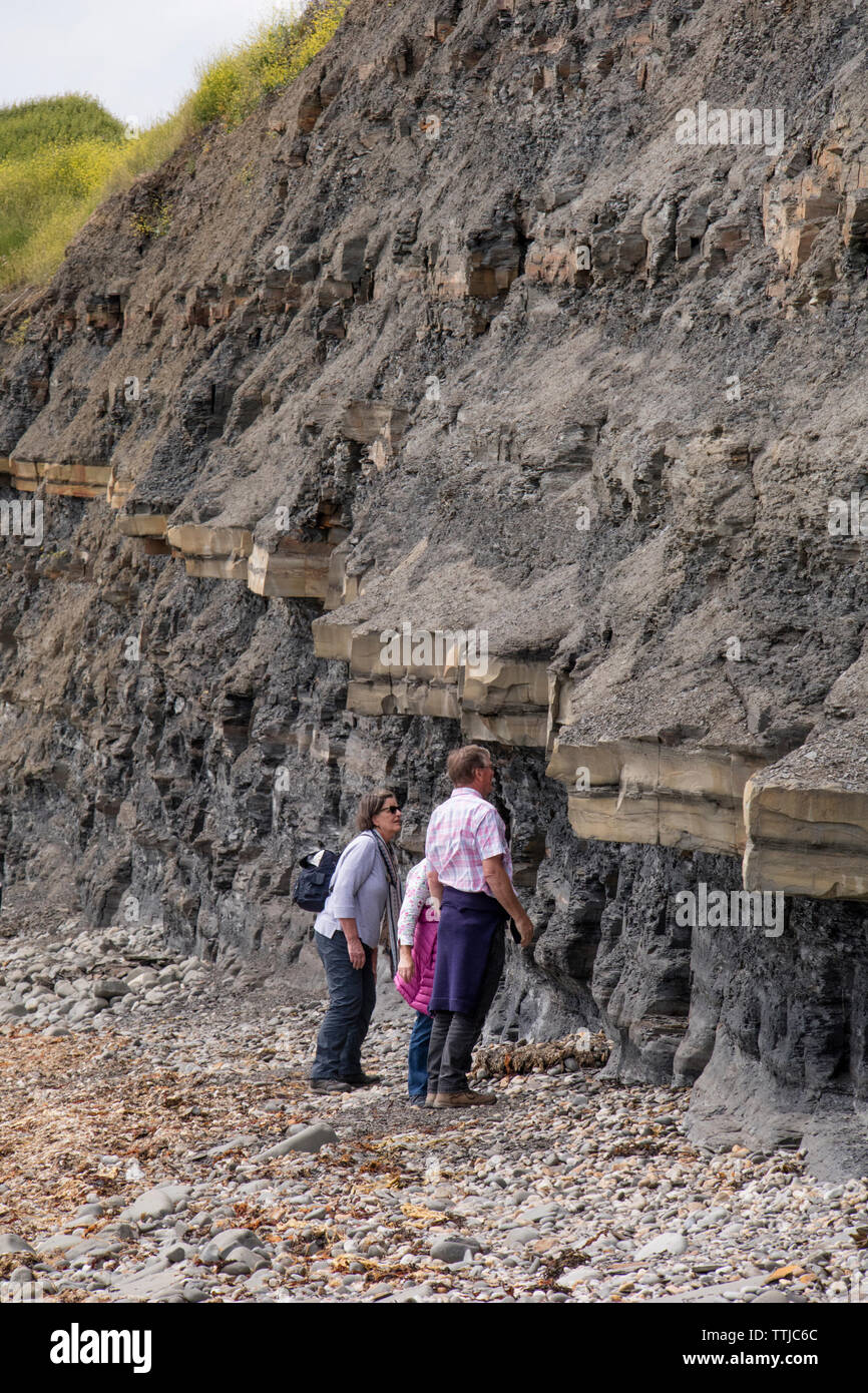 Tourists walking unstable cliffs at Kimmeridge Bay Dorset, England, UK ...