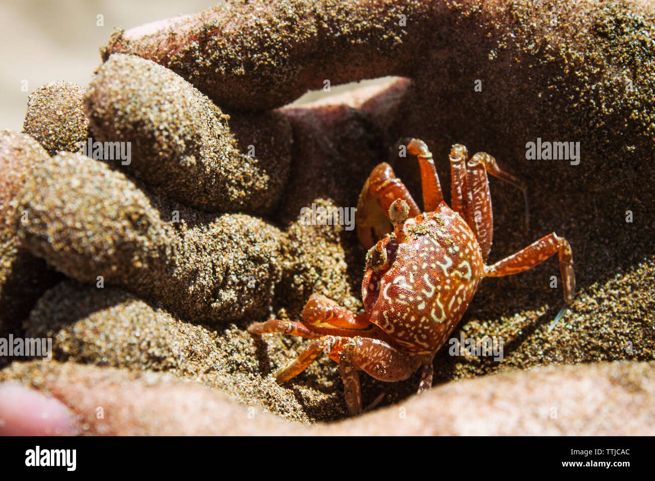 Hands dirty hi-res stock photography and images - Alamy