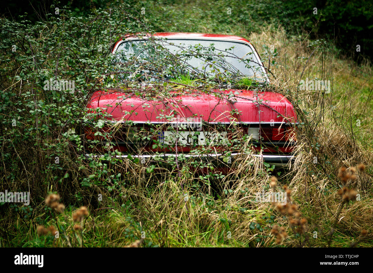 Car plants hi-res stock photography and images - Alamy