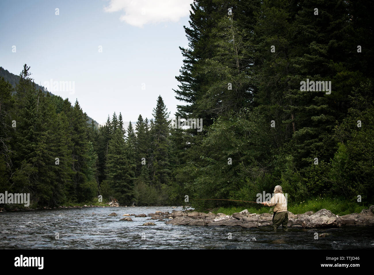 Fishing rod trees hi-res stock photography and images - Alamy