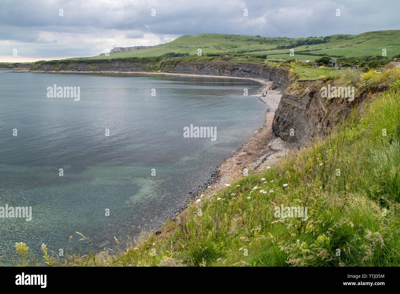Kimmeridge Bay lies within a marine Special Area of Conservation ...
