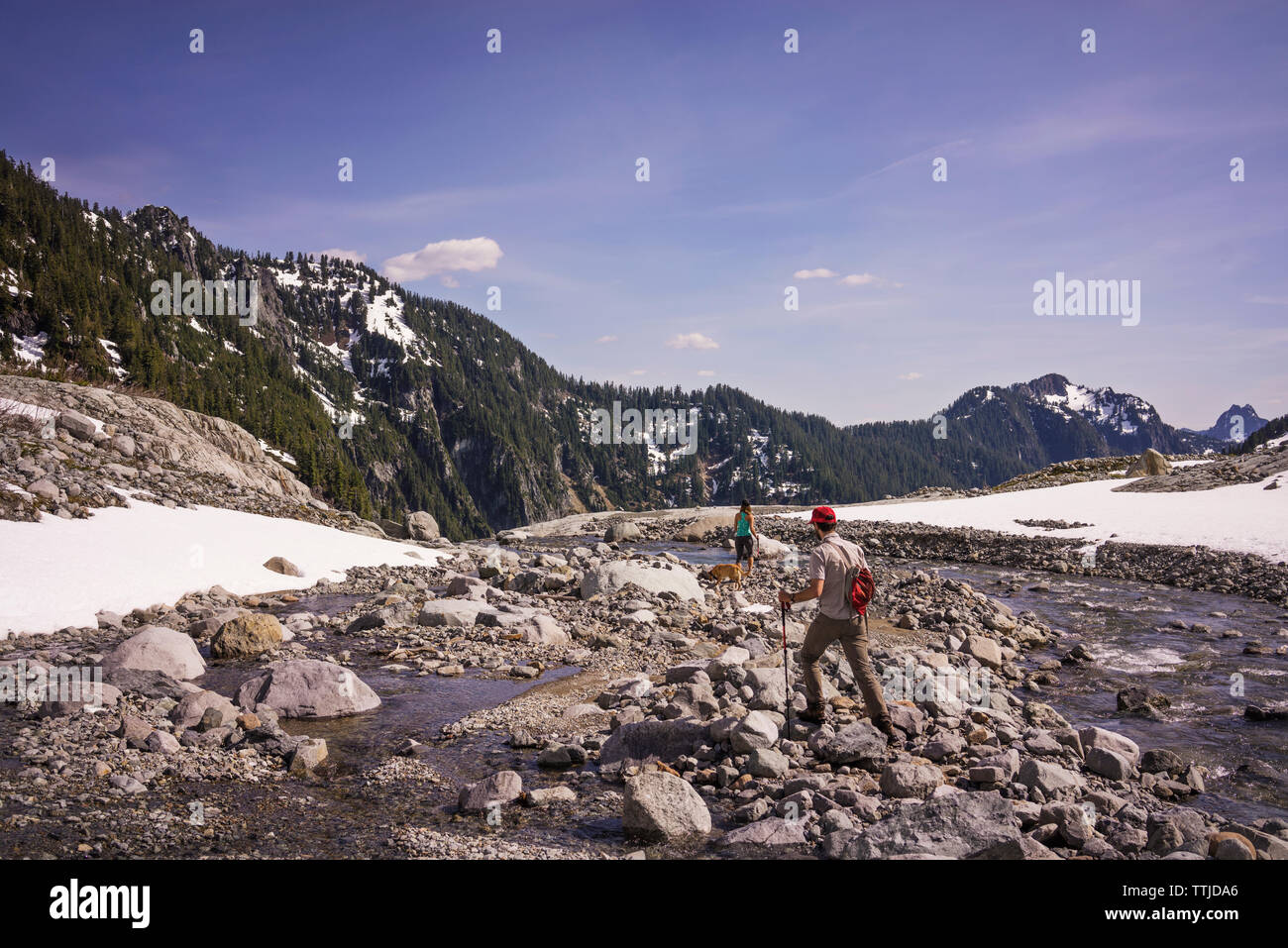 Man holding dog woman hi-res stock photography and images - Alamy