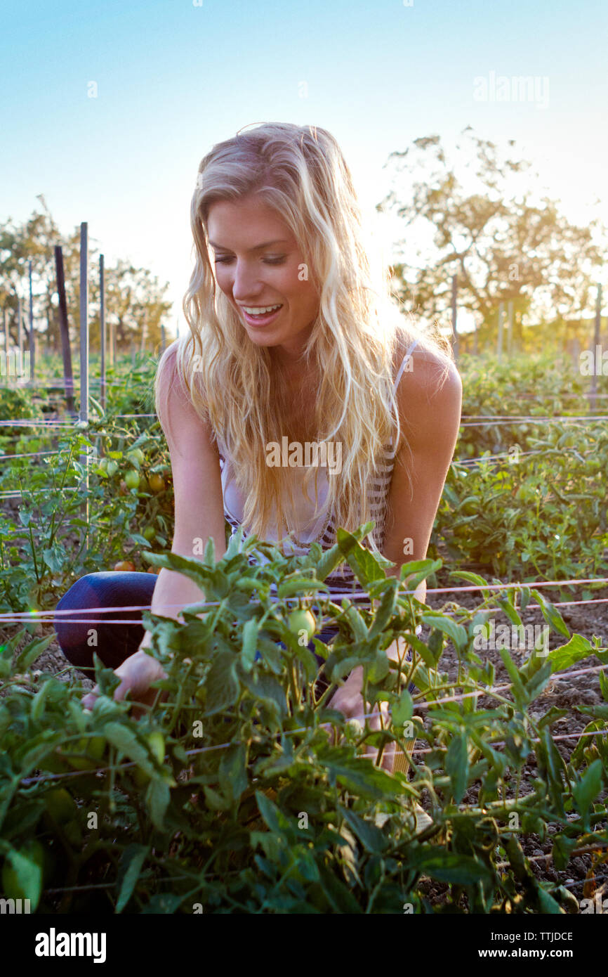 Farm worker woman hi-res stock photography and images - Alamy