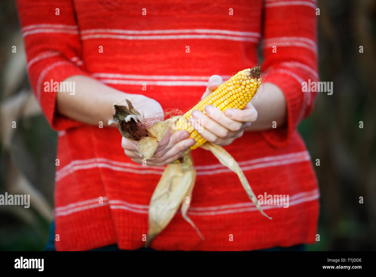 Peeling farmer hi-res stock photography and images - Alamy