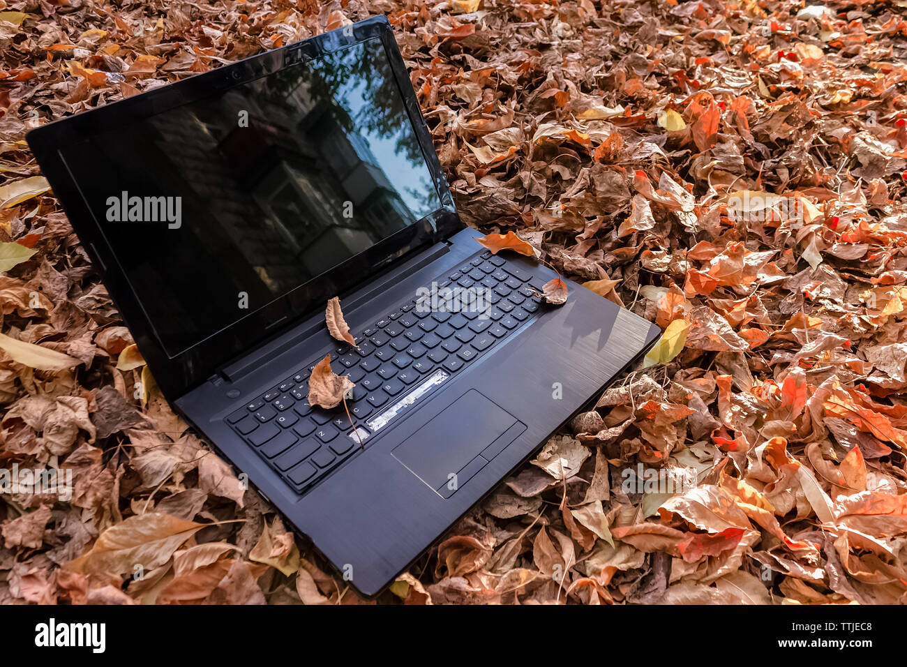 Old broken laptop thrown on the street in fall foliage like rubbish ...