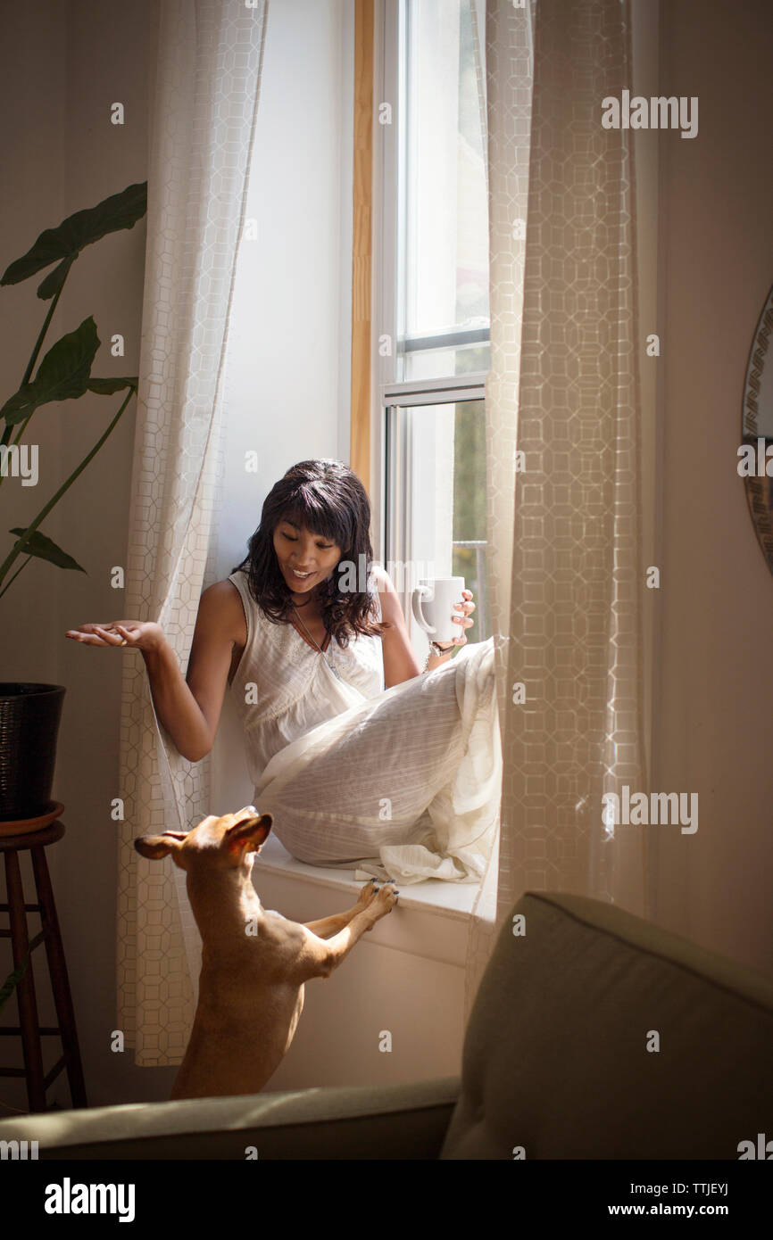 Woman looking her dog hi-res stock photography and images - Alamy