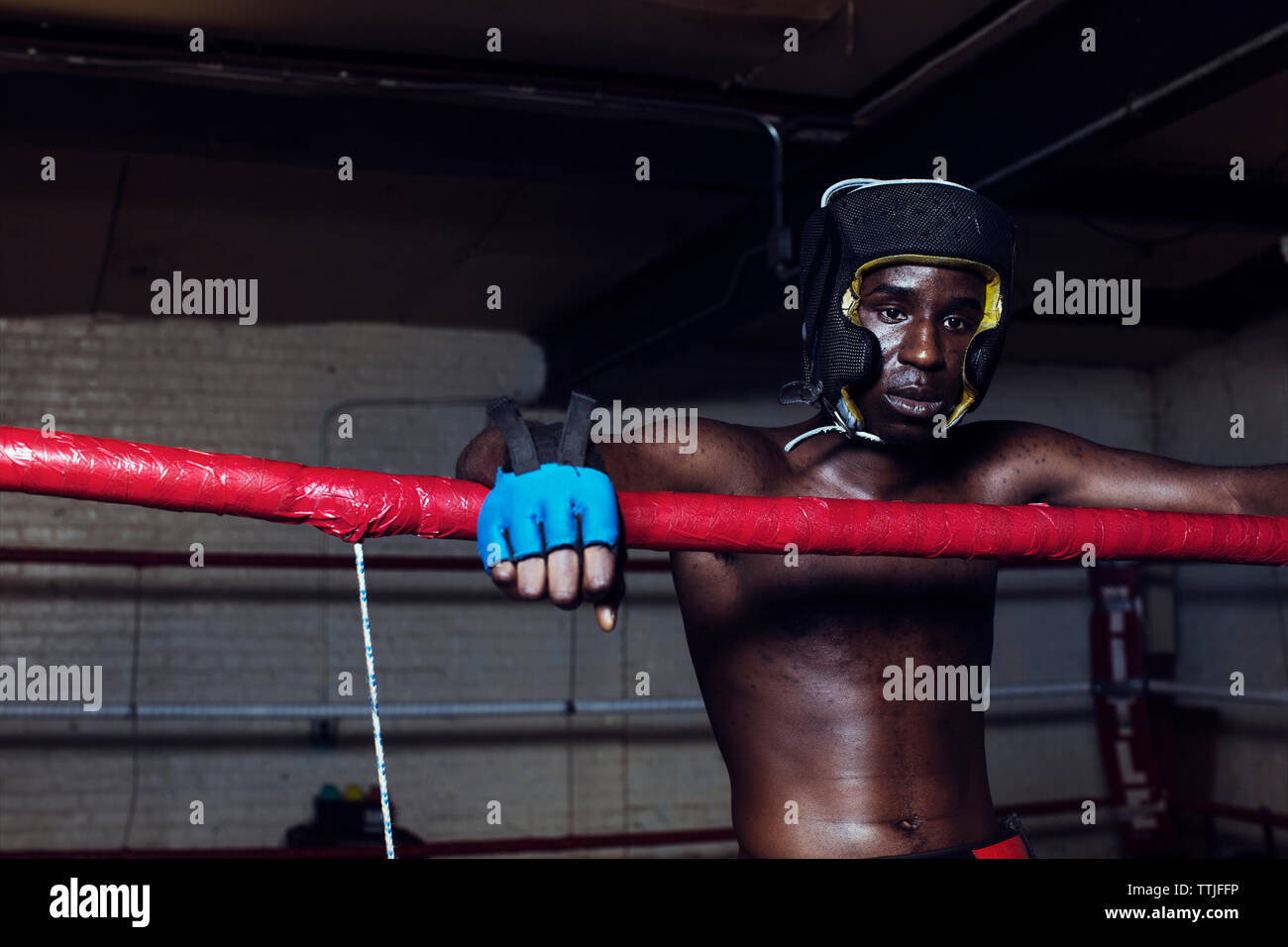 Boxer looking away while standing in boxing ring Stock Photo - Alamy