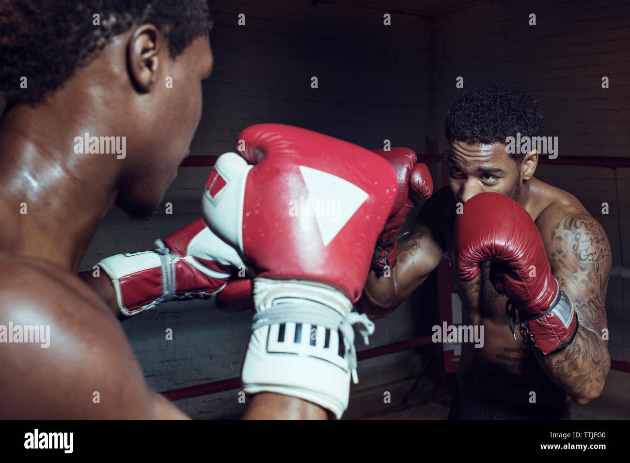 Male boxers practicing fighting in boxing ring Stock Photo - Alamy
