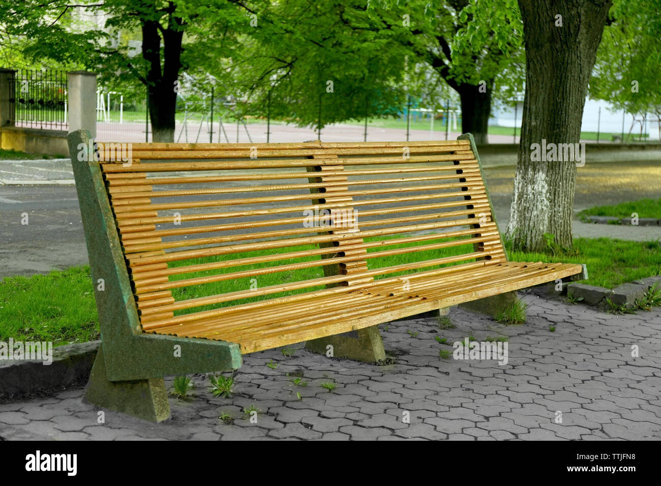 Paved road and bench in a green park Stock Photo - Alamy