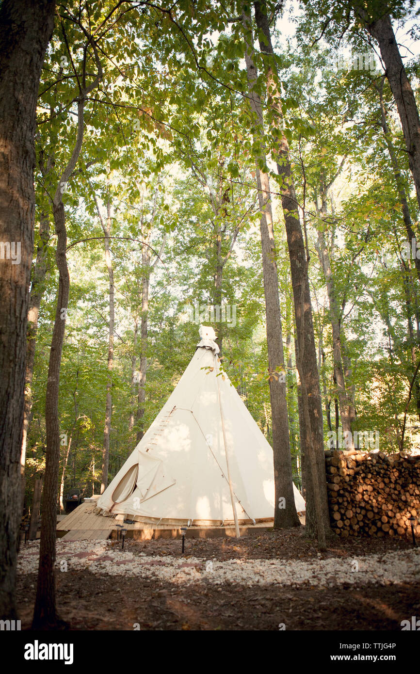 Teepee Glamping in Virginia Forest Stock Photo - Alamy